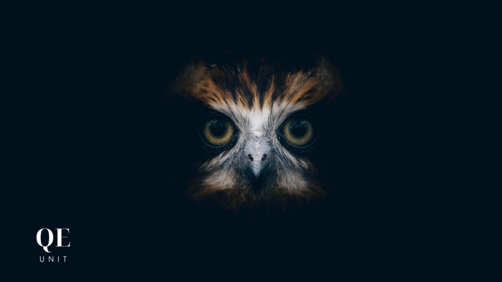 The True Value of Continuous Testing - QE Unit